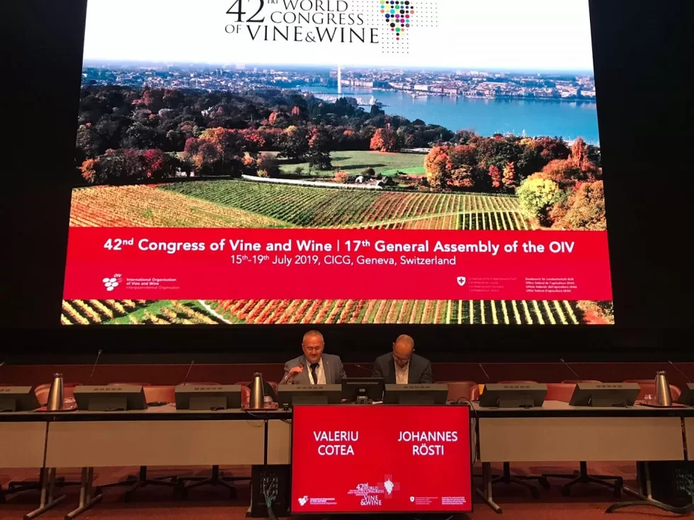 COTEA V. Valeriu | Totul despre vin de la A la Z